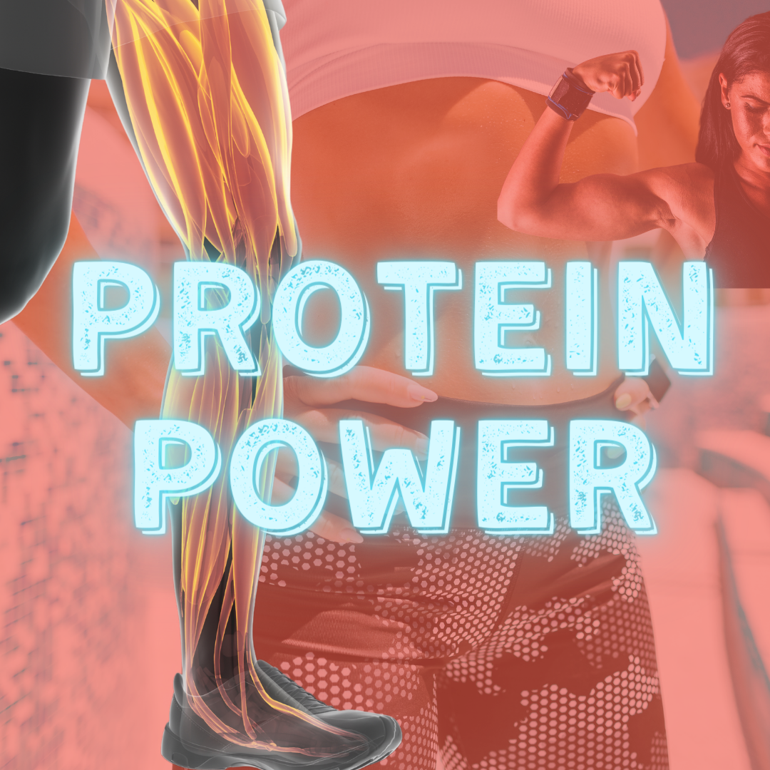 Everything you need to know about protein! – Vitamin Patch Club